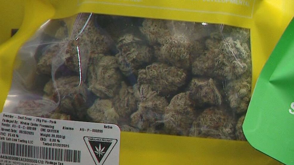 Menominee, Michigan voters reaffirm cap on cannabis dispensaries at nine