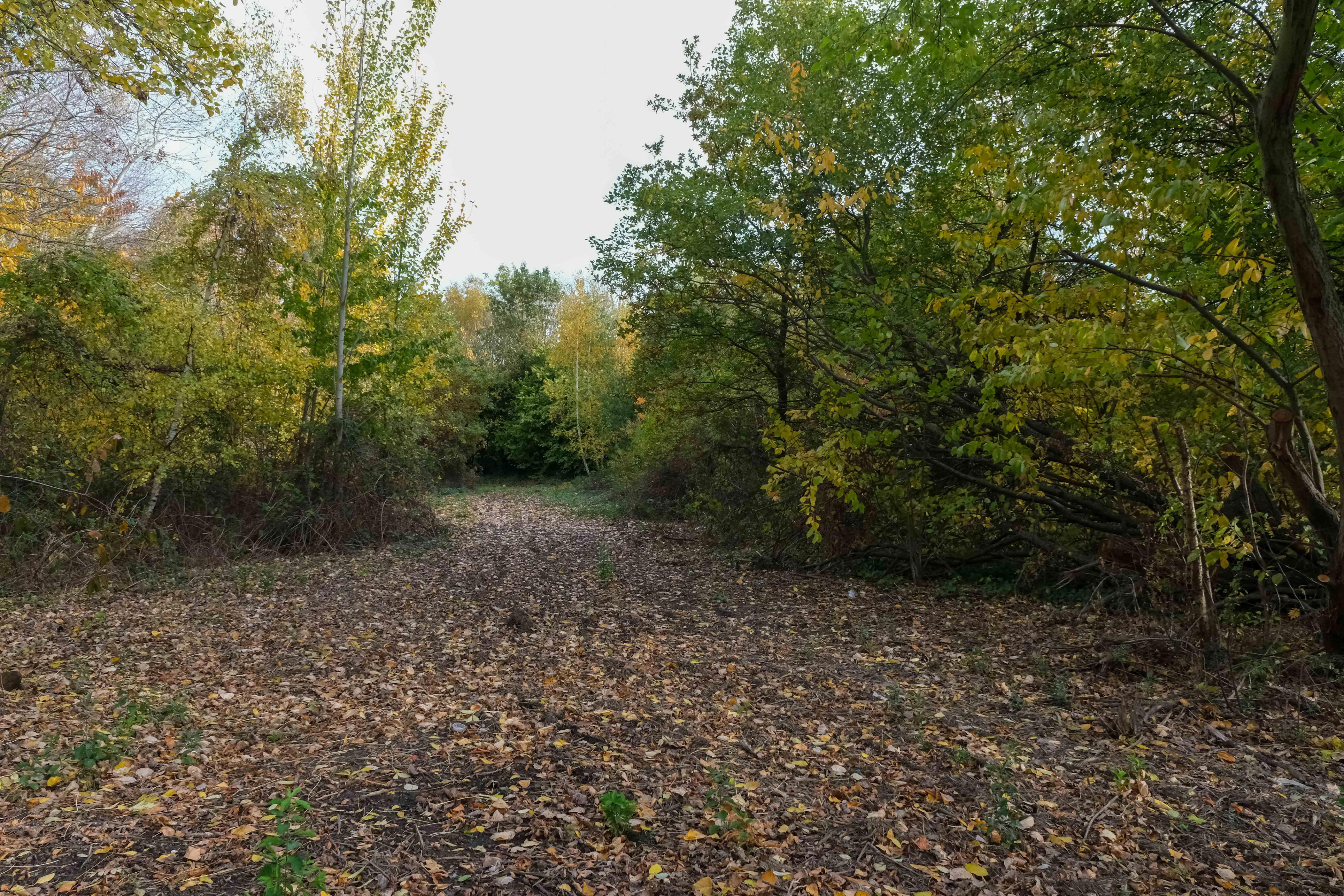 Sheffield Public Notice: More than three acres of land in Darnall could ...