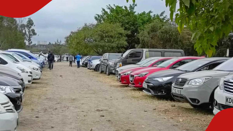 MOGO Ltd announces auction of 29 vehicles, offers cheapest model at KSh 80k
