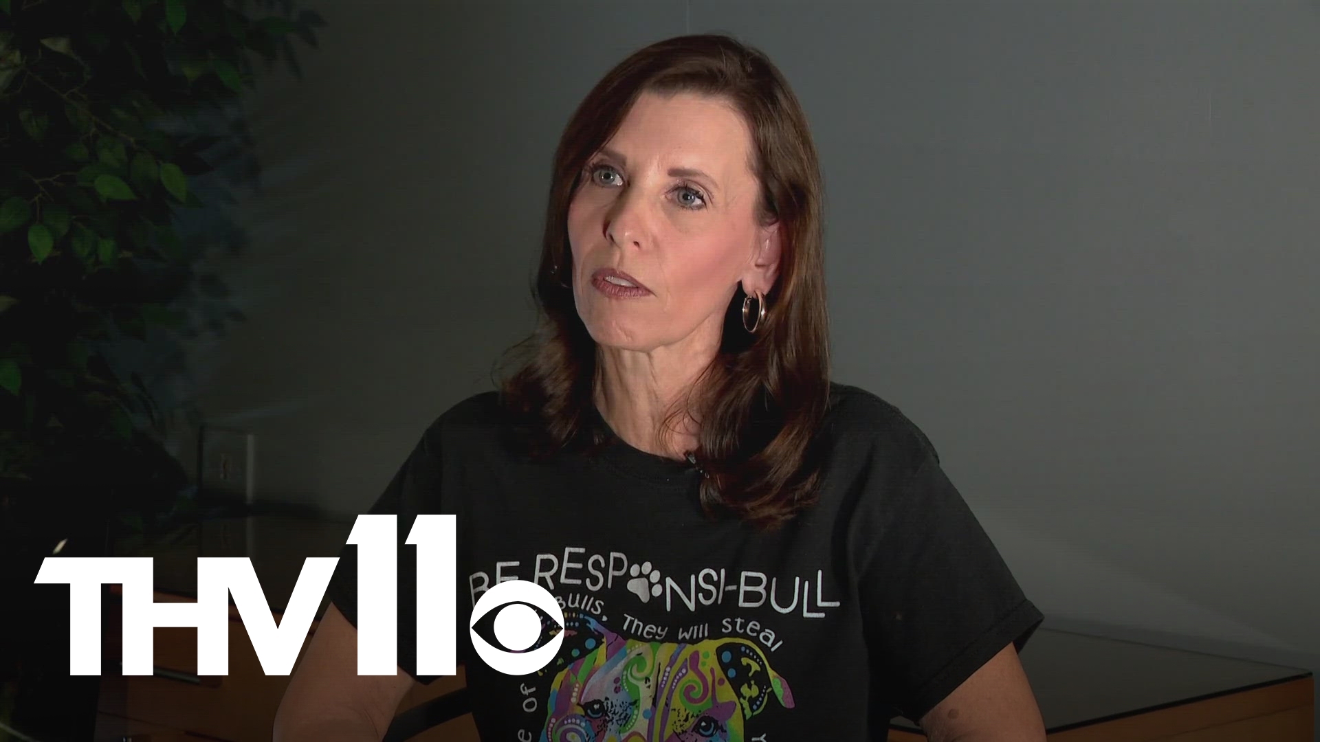 Mayflower community concerned over future of city's animal control