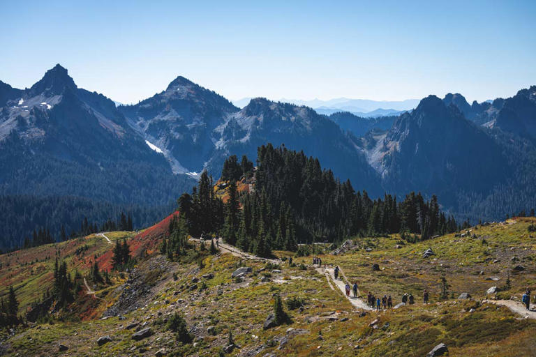 6 Scenic Washington Drives Around Mount Rainier You’ll Never Forget