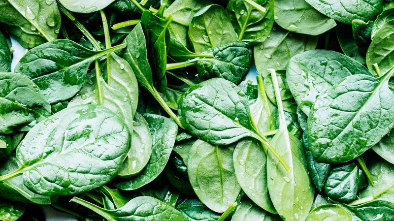 19 Nutrient-Rich Foods Every Man Should Eat More Often