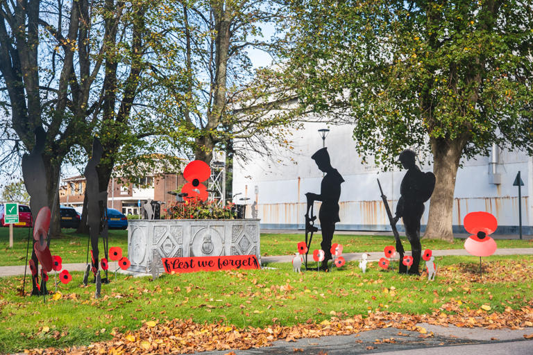 "Poignant" poppy display at HMS Sultan in Gosport as Royal Navy pays ...