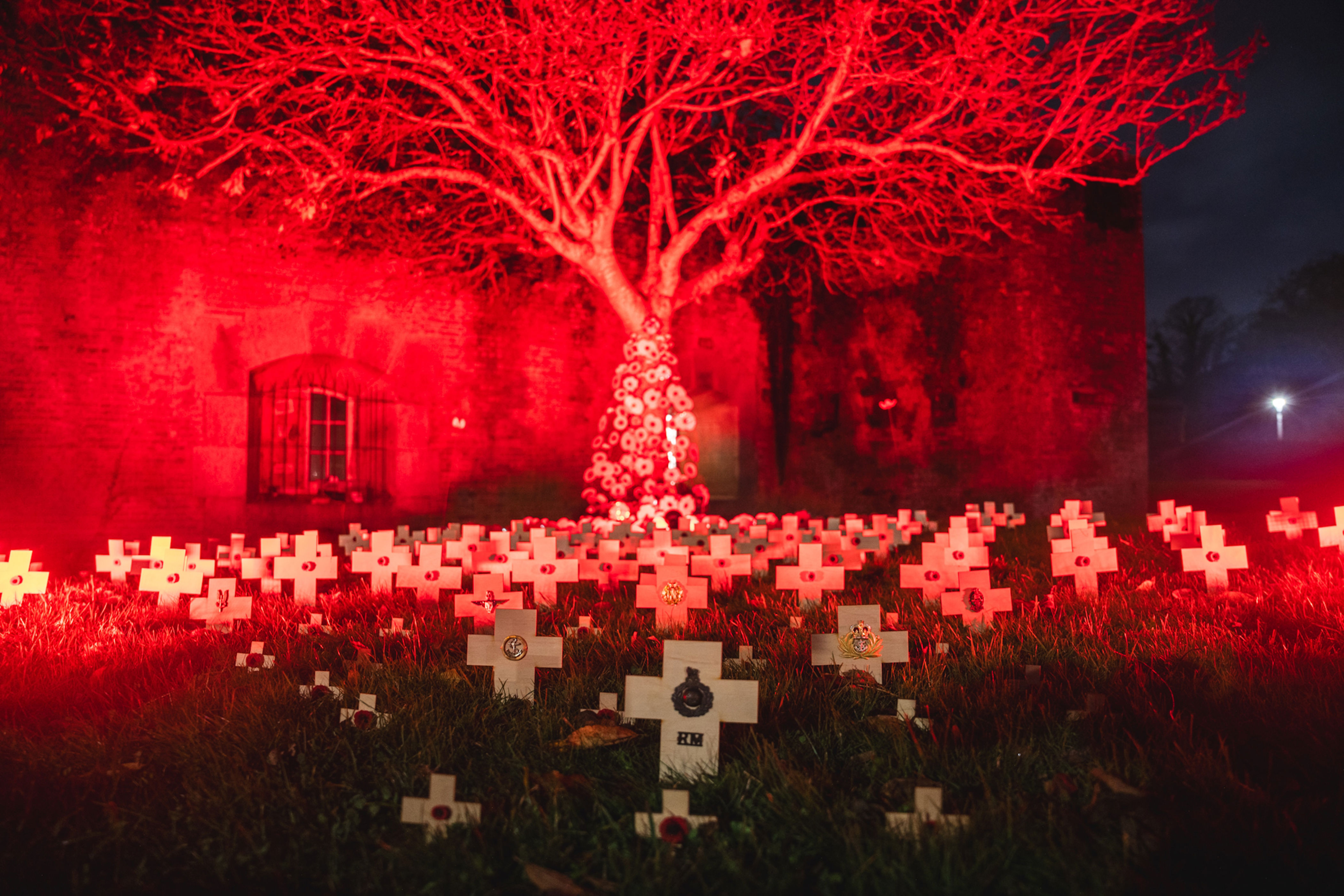 "Poignant" poppy display at HMS Sultan in Gosport as Royal Navy pays ...