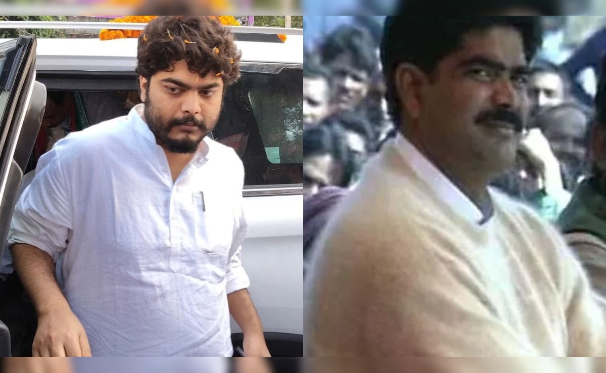 In This Bihar Seat, A Dead Don's Reign Of Terror Shadows The Poll Fight