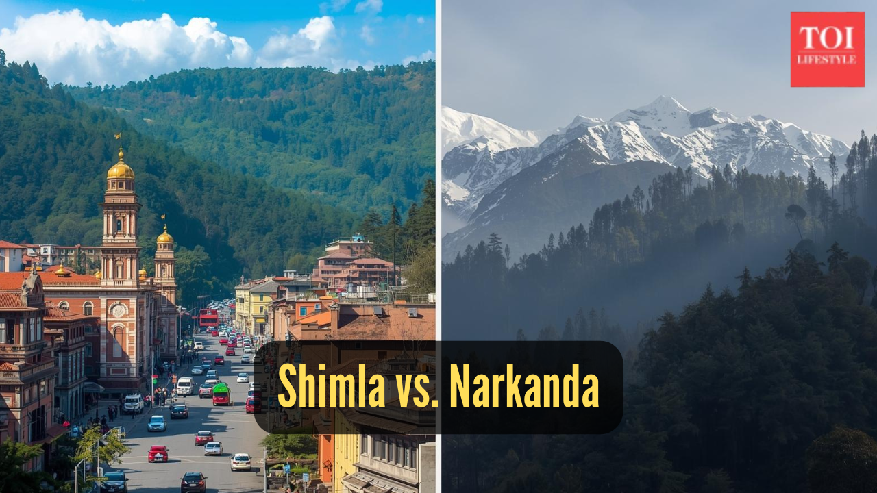 Shimla vs. Narkanda: For a cozy winter holiday in Himachal