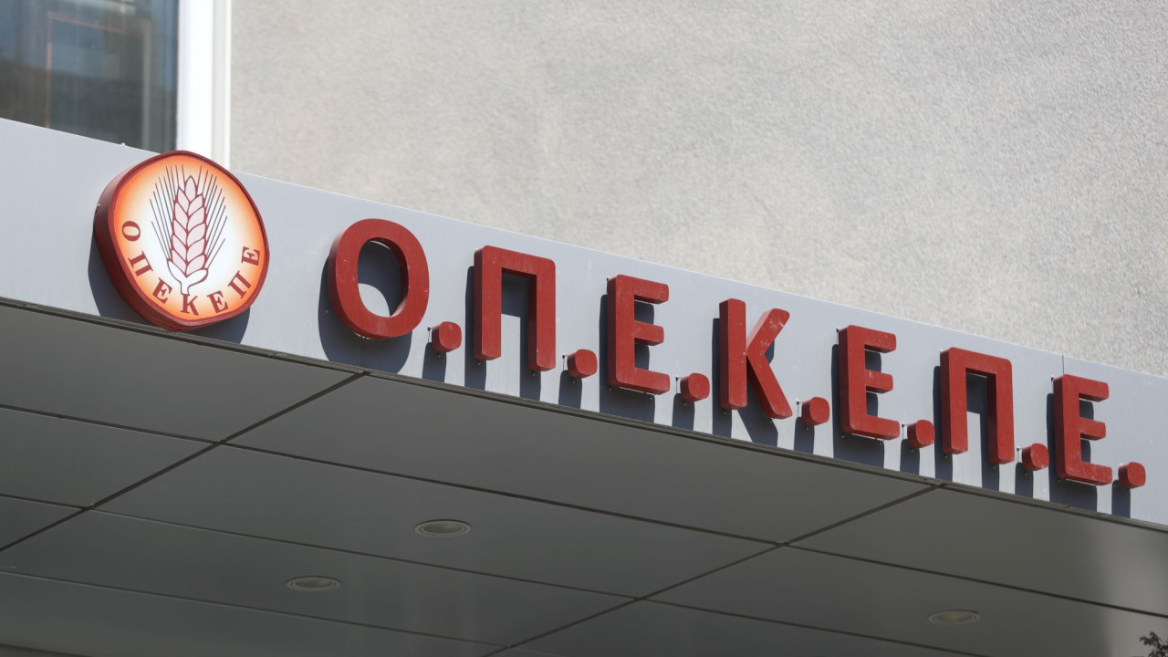 Τι προβλέπει το σχέδιο δράσης για τον ΟΠΕΚΕΠΕ που έστειλε η Ελλάδα στην ...