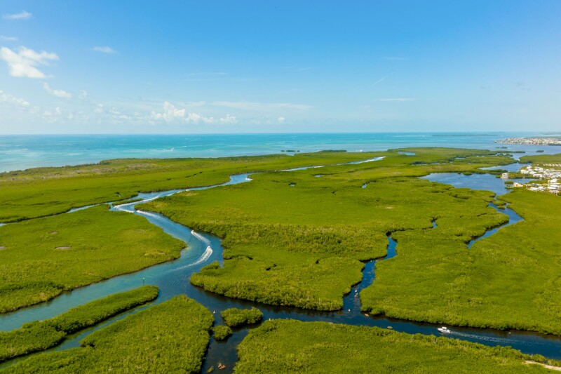4 Perfect Days in the Florida Keys