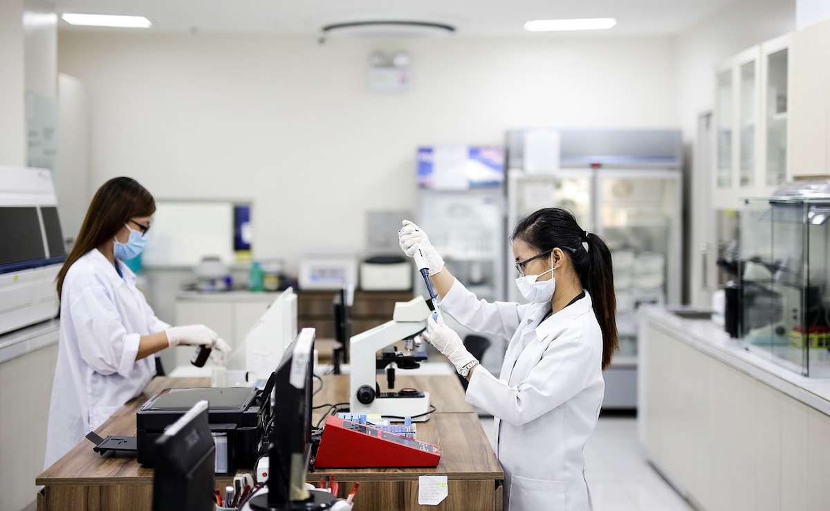 Foreign Medical Graduate Examination 2025 city intimation slip released ...