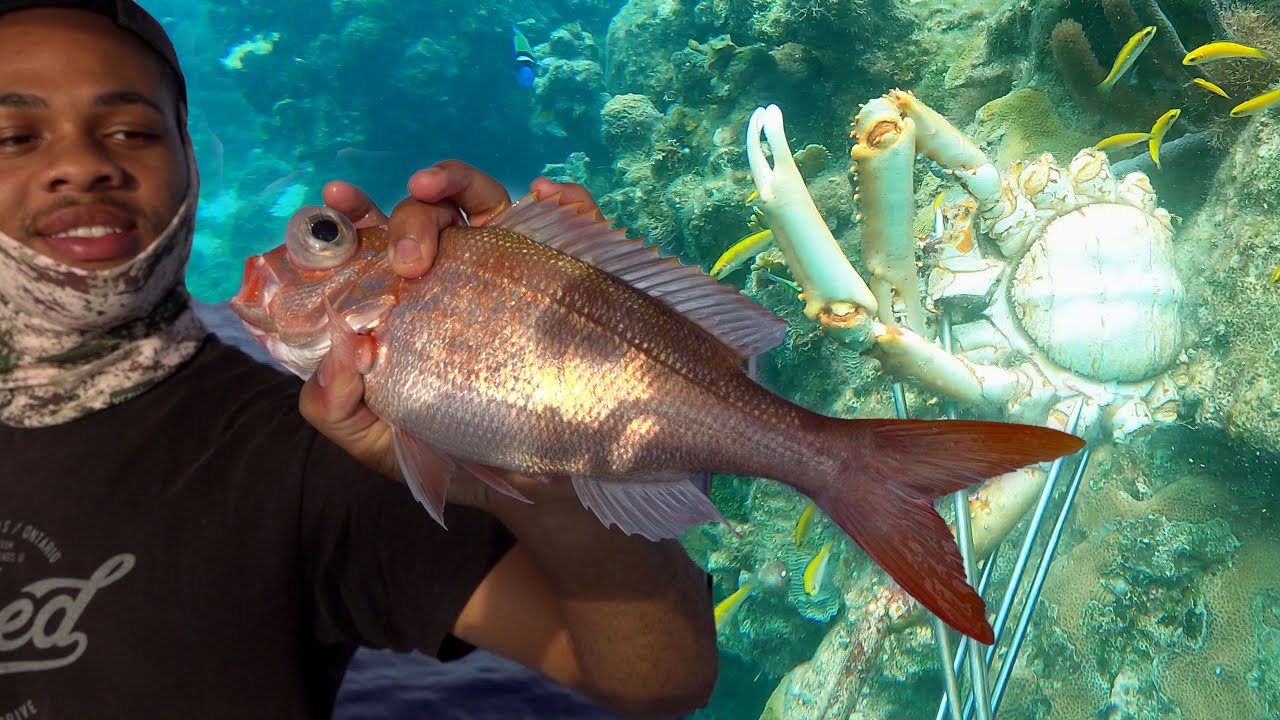 Deep sea fishing adventure in Jamaica - from ocean to plate