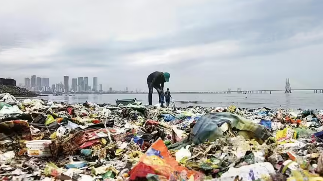 Women’s Cricket World Cup: 63 tonnes of waste collected, processed in 5 ...