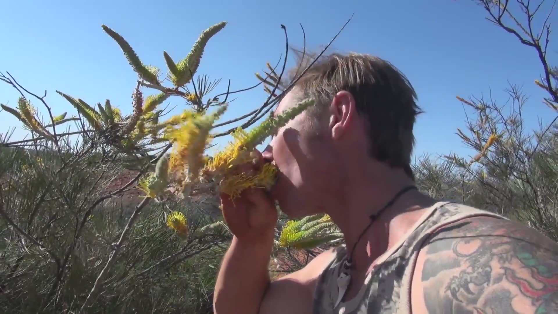 Ancient survival skills and bush tucker foods