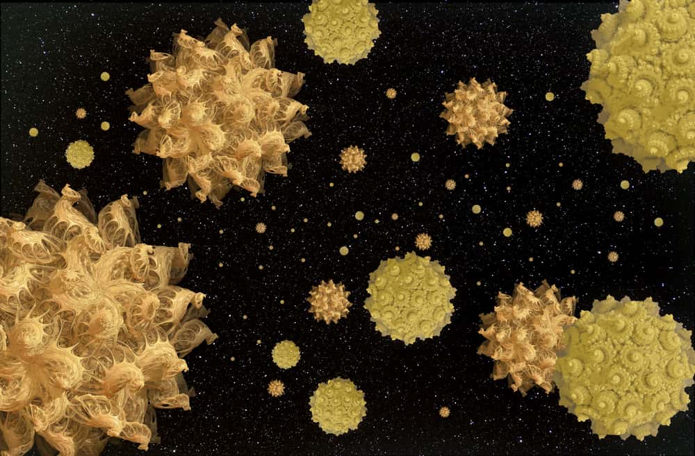 The Mars rover has found evidence of ancient organic material on the ...