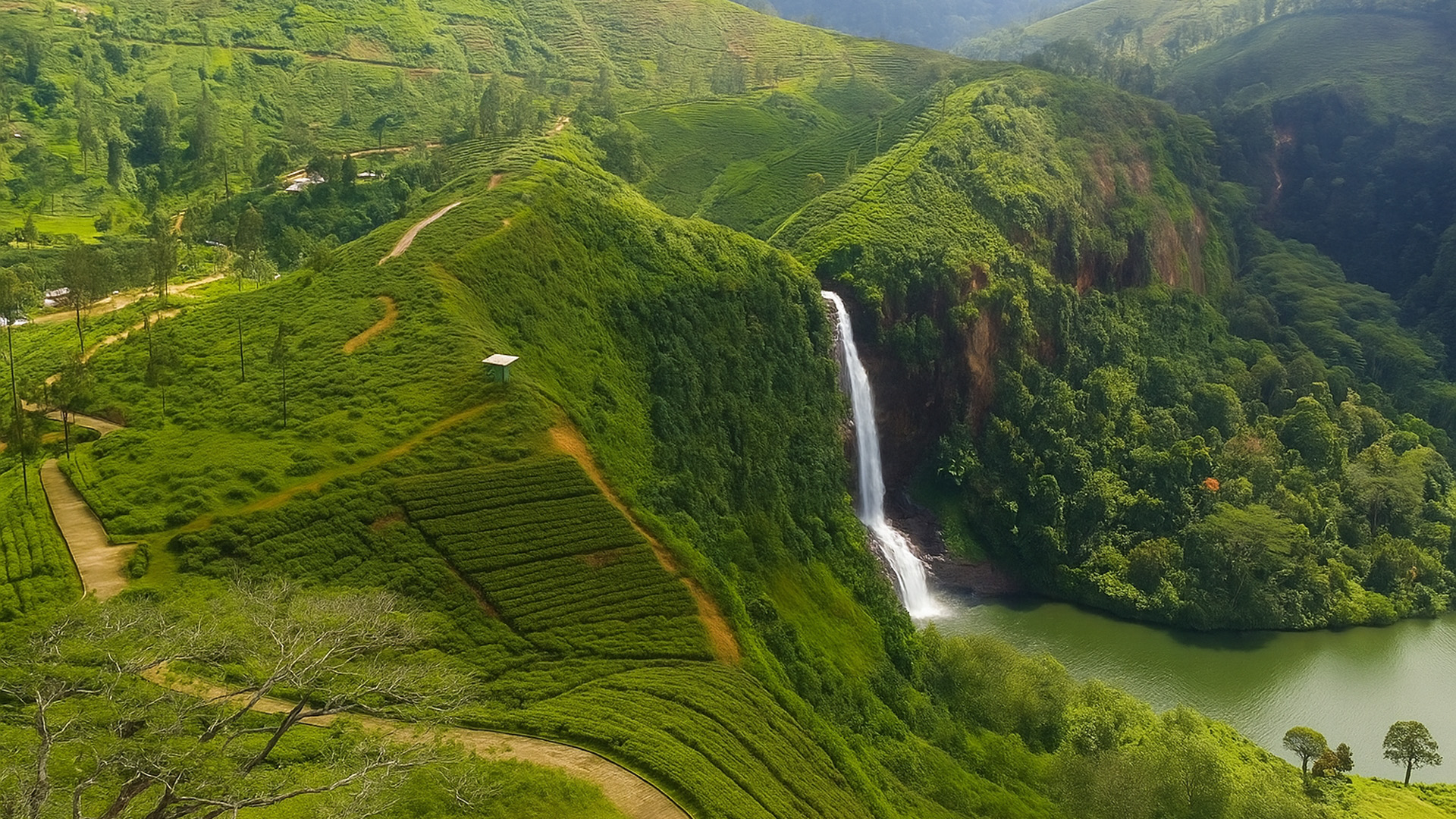 Air Terjun Indah di Pegunungan Sri Lanka