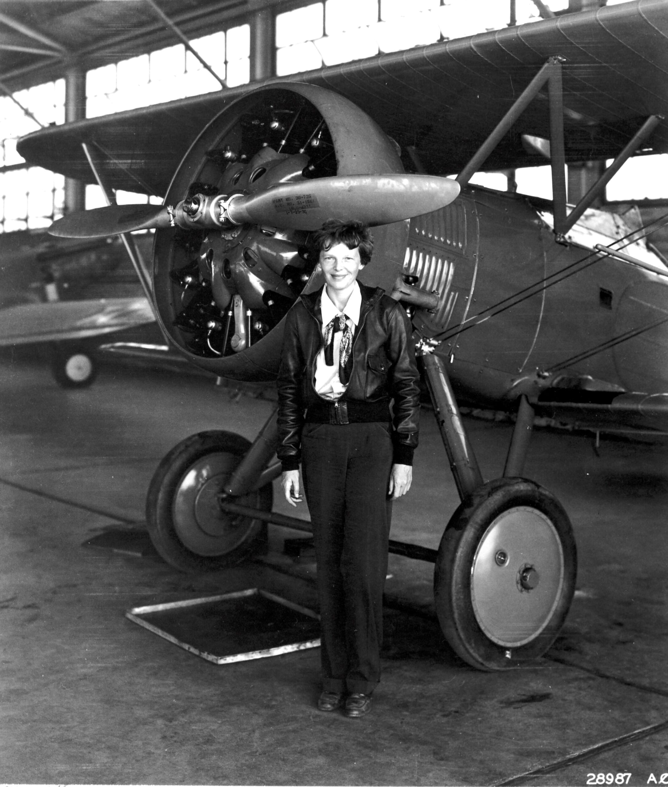 New Expedition and Old Theories Keep Amelia Earhart's Legend Alive