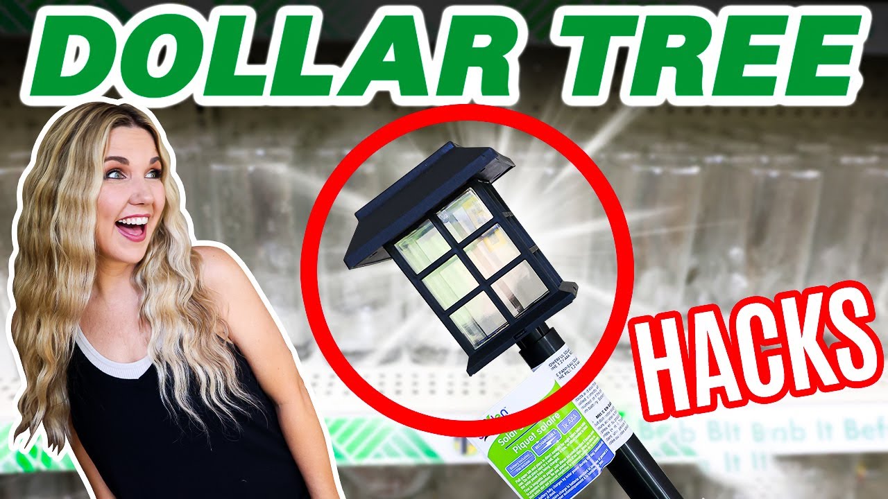 You’ll Never Overlook These Dollar Tree Solar Lights Again