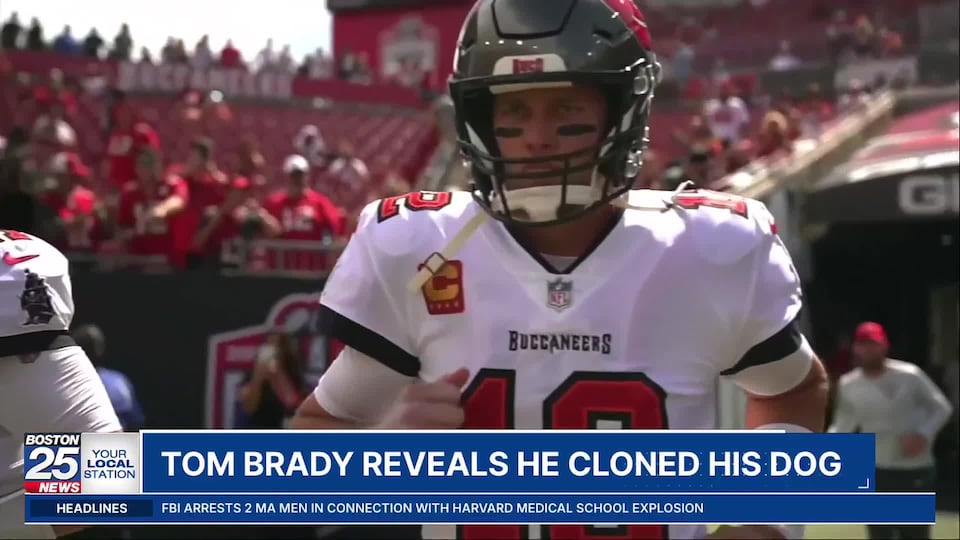 Tom Brady reveals he cloned his dog