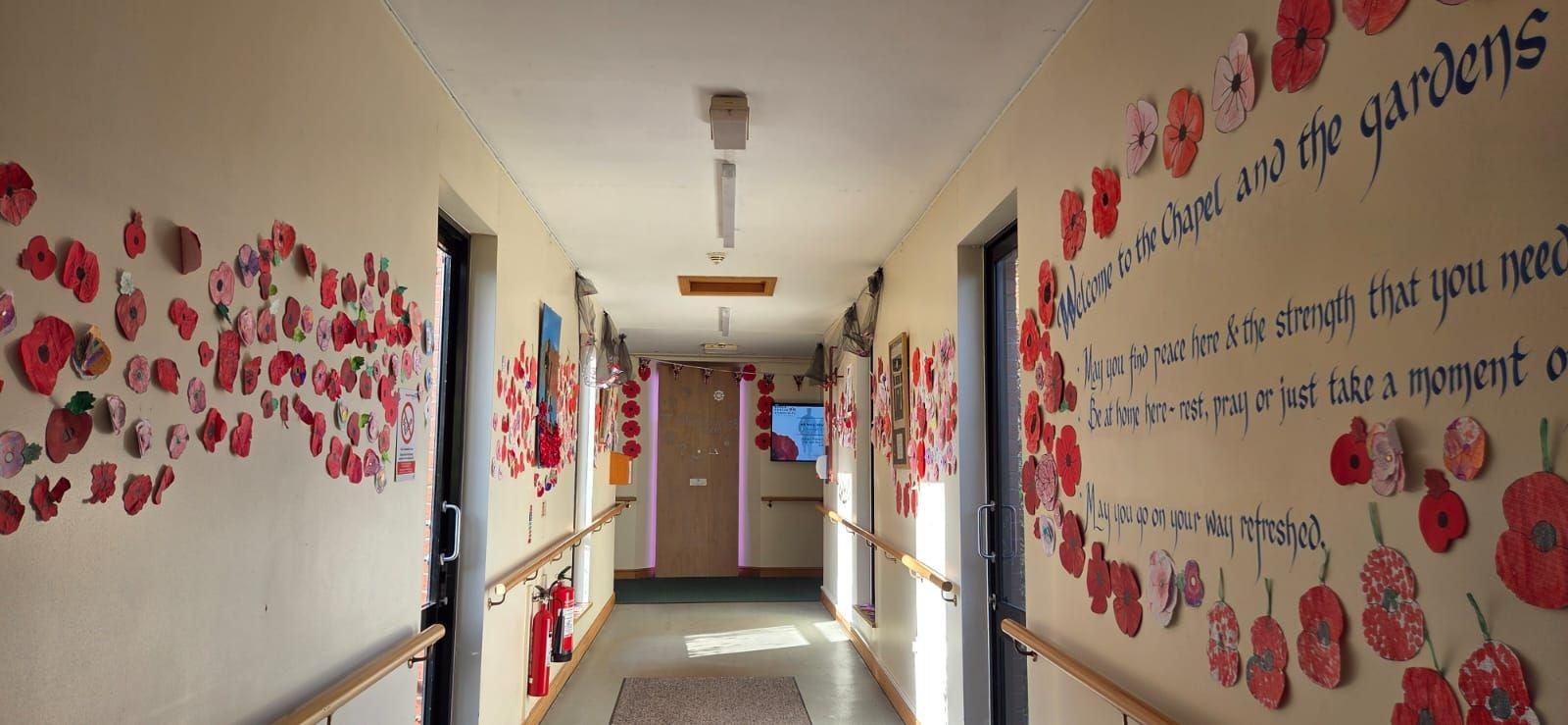 Remembrance Day Poppy Display