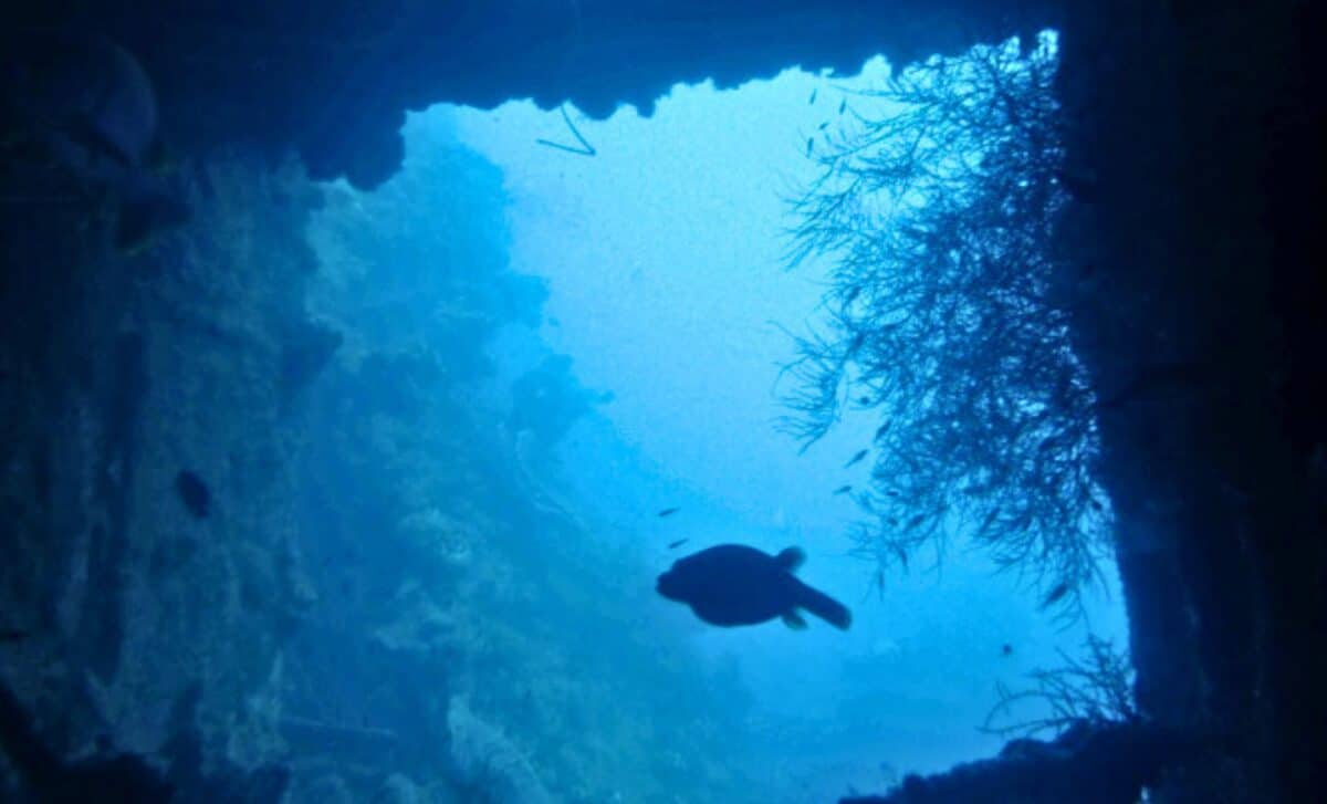 Chinese Scientists Built a Stealthy ‘Underwater Ghost’ for Deep-Sea Surveillance—And It’s Not ...