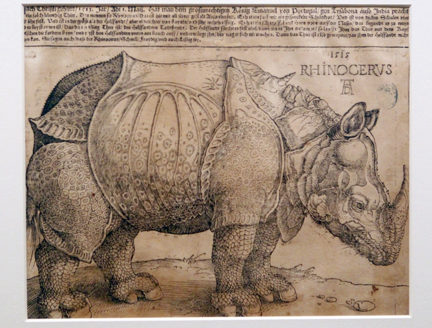 Encuentran en Praga un original olvidado del 'rinoceronte' impreso por ...