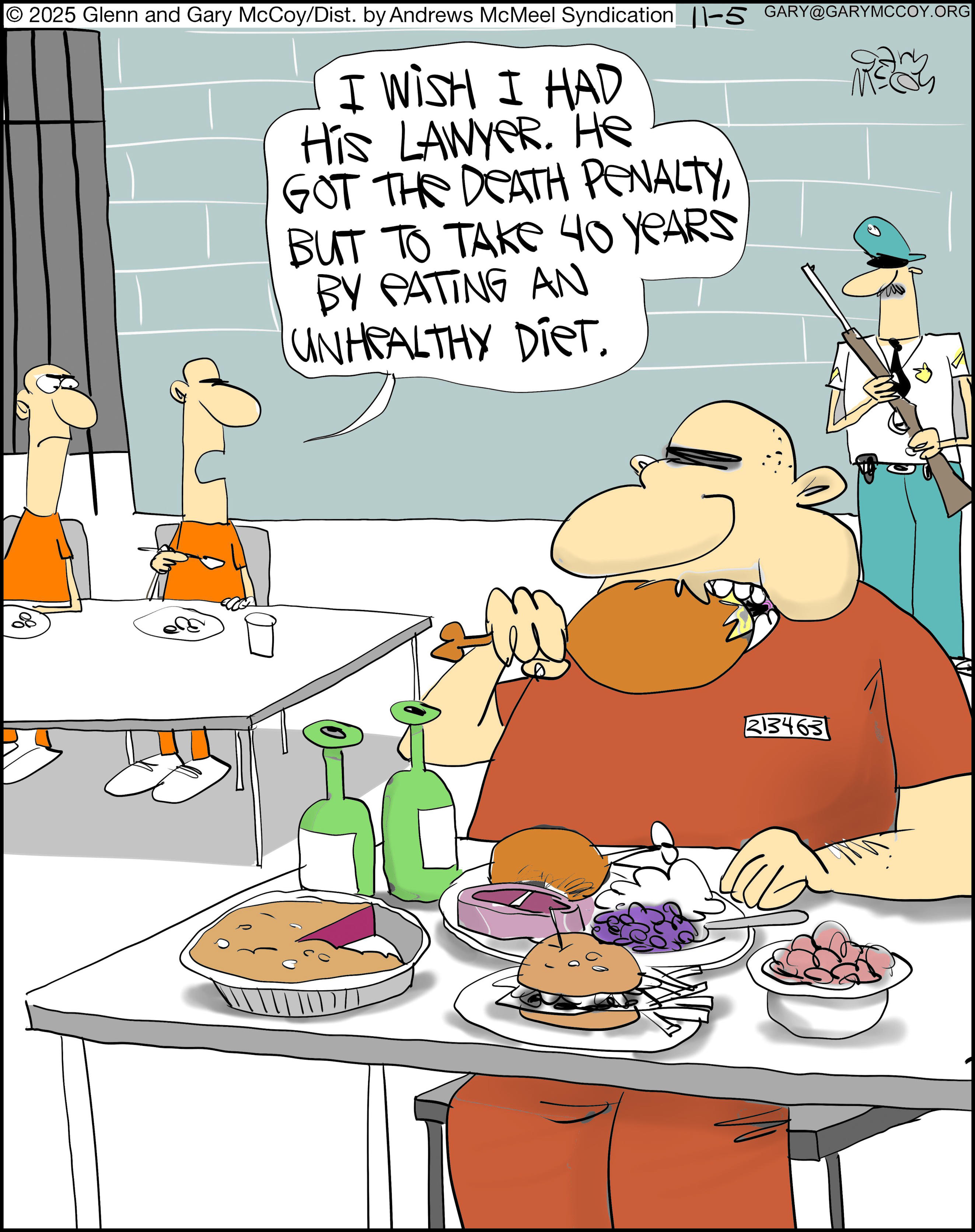 The Flying McCoys by Glenn and Gary McCoy