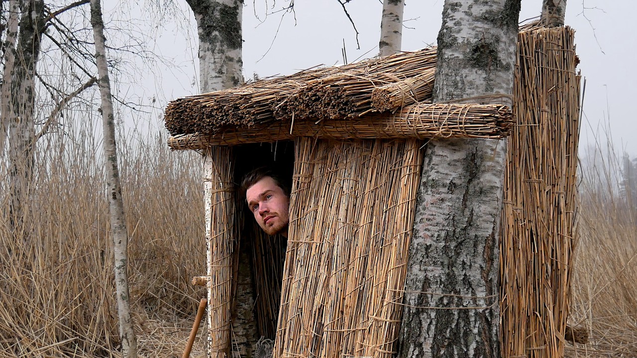 I built a survival shelter using only reeds – bushcraft in wetlands