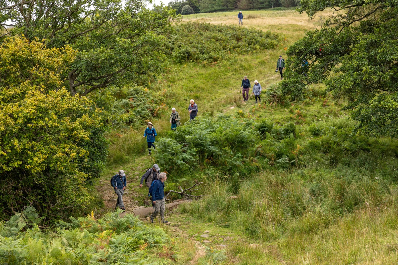 Wildlife charities a third of the way to buying key UK nature refuge