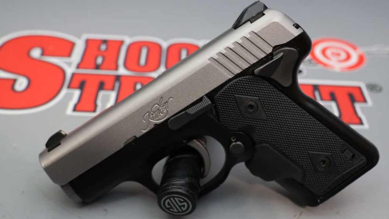 Guns outdoor guides refuse to carry as backups