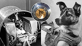 'First Animal In Space!' Tragic Tale Of Russian Dog Who Was Sent To ...