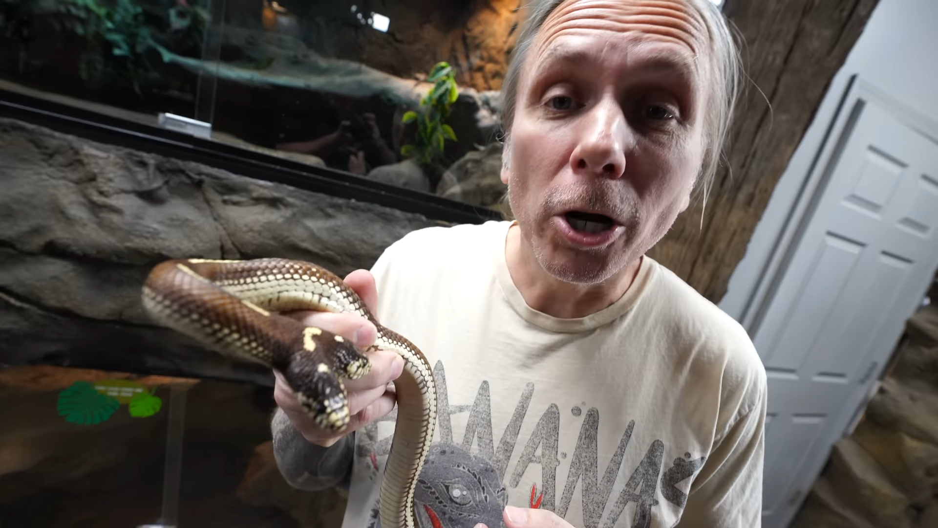 Evolution Gone Wild: The Most Bizarre Snakes Ever Discovered