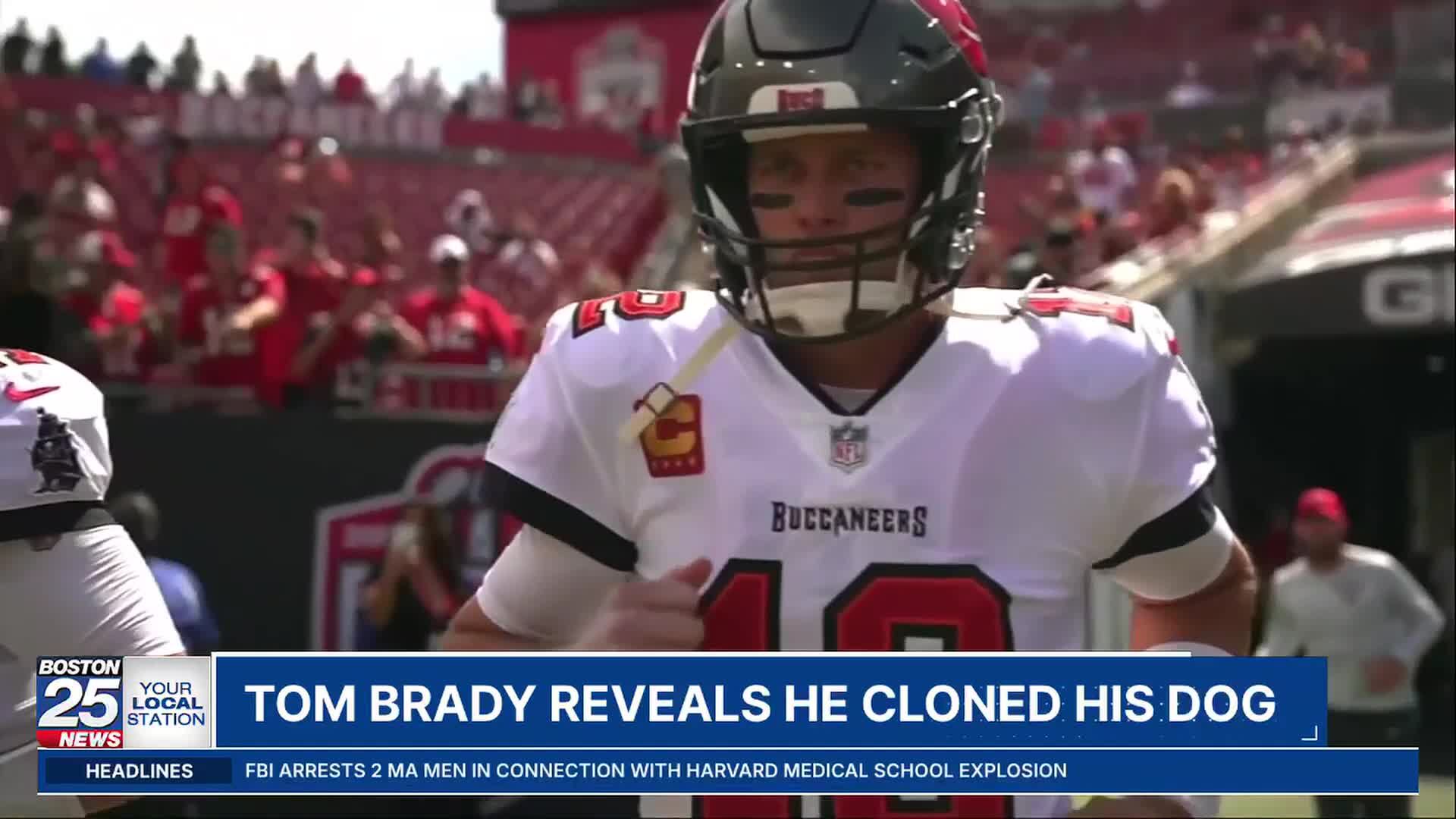 Tom Brady reveals his new dog is a clone of his late pet