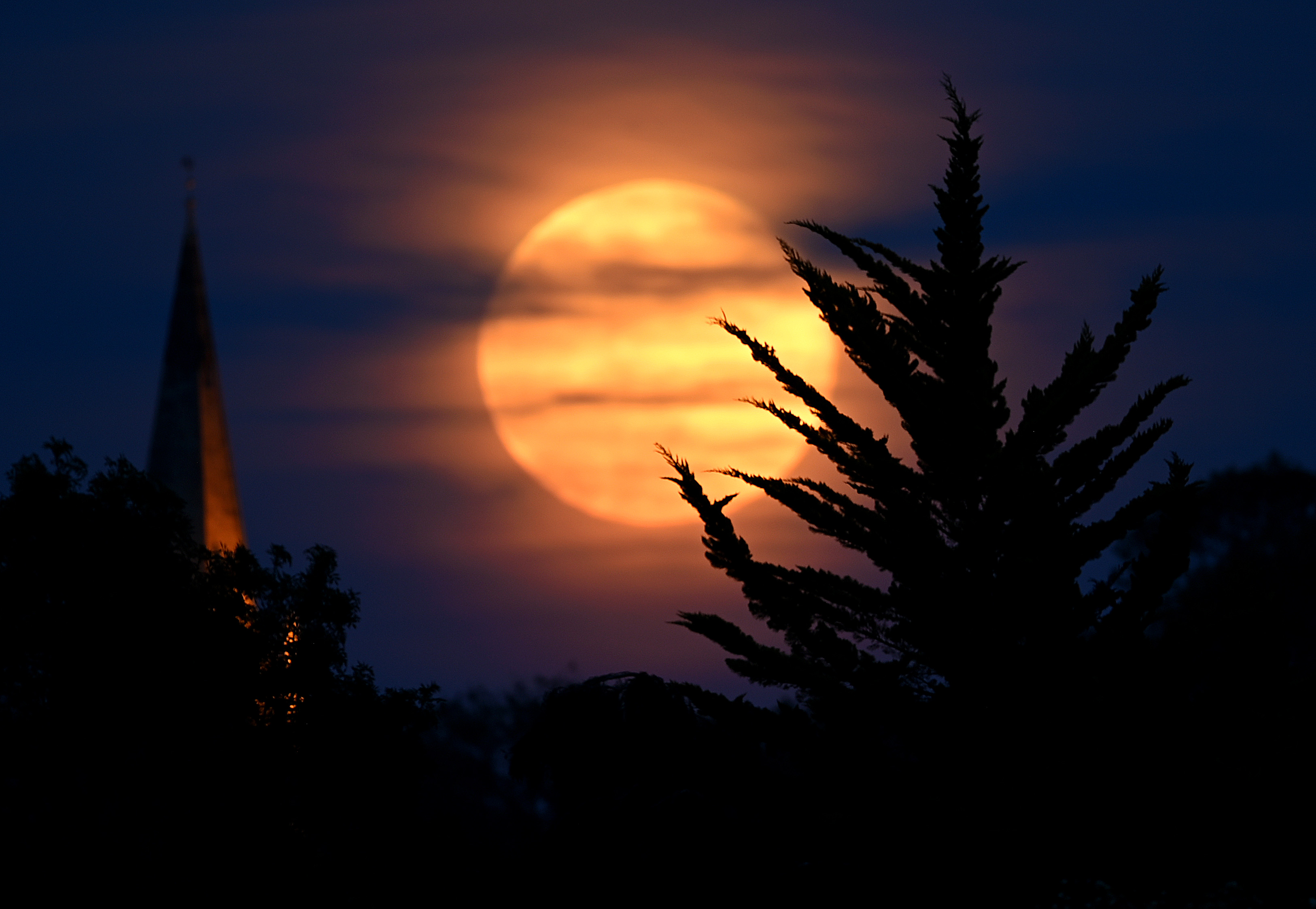 Bonfire Night Scotland weather: Full weather forecast as Beaver ...