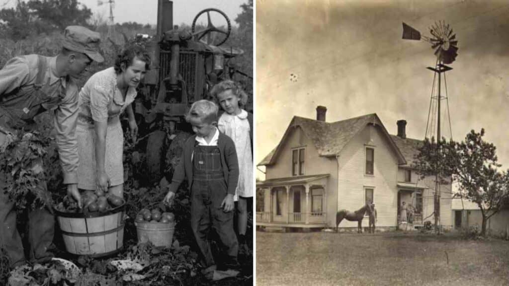 Vintage photos show what farming in the USA was like
