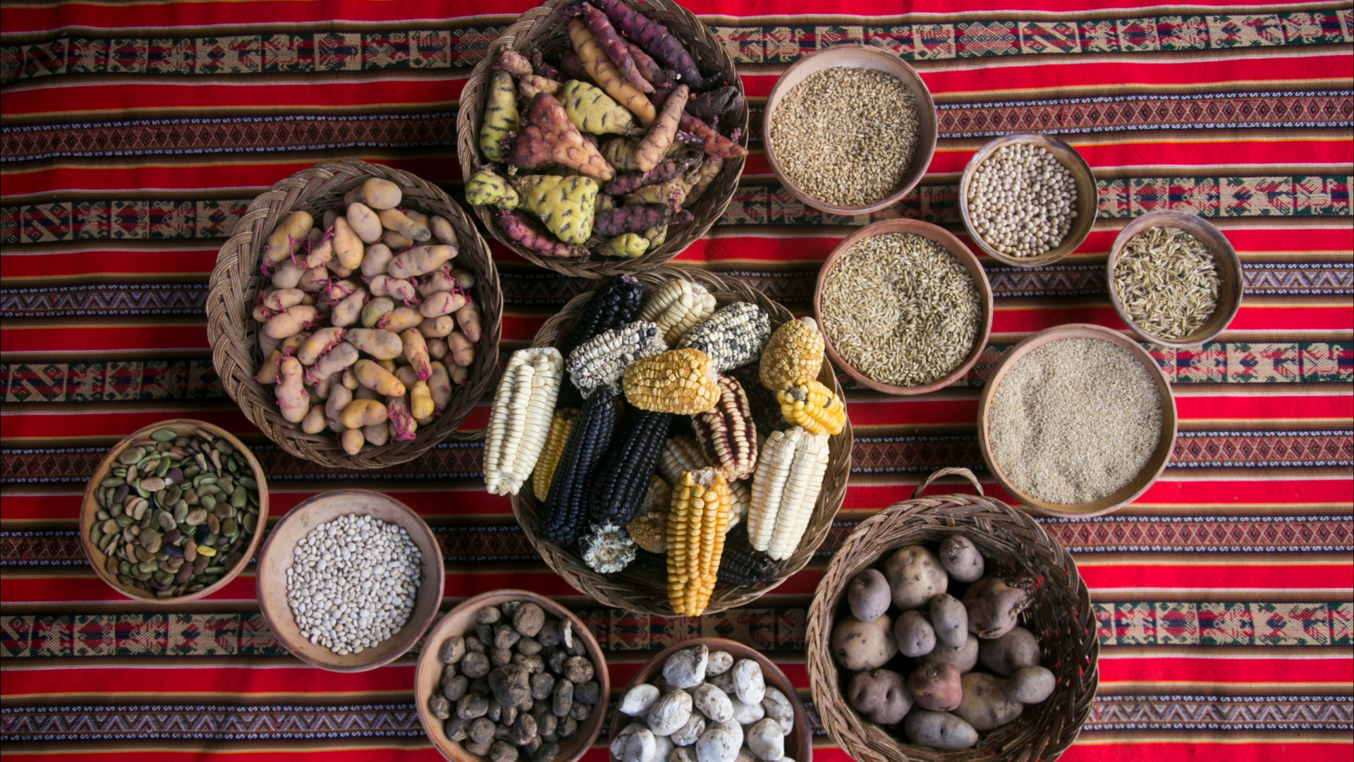 A taste of tradition: Indigenous foods of North America
