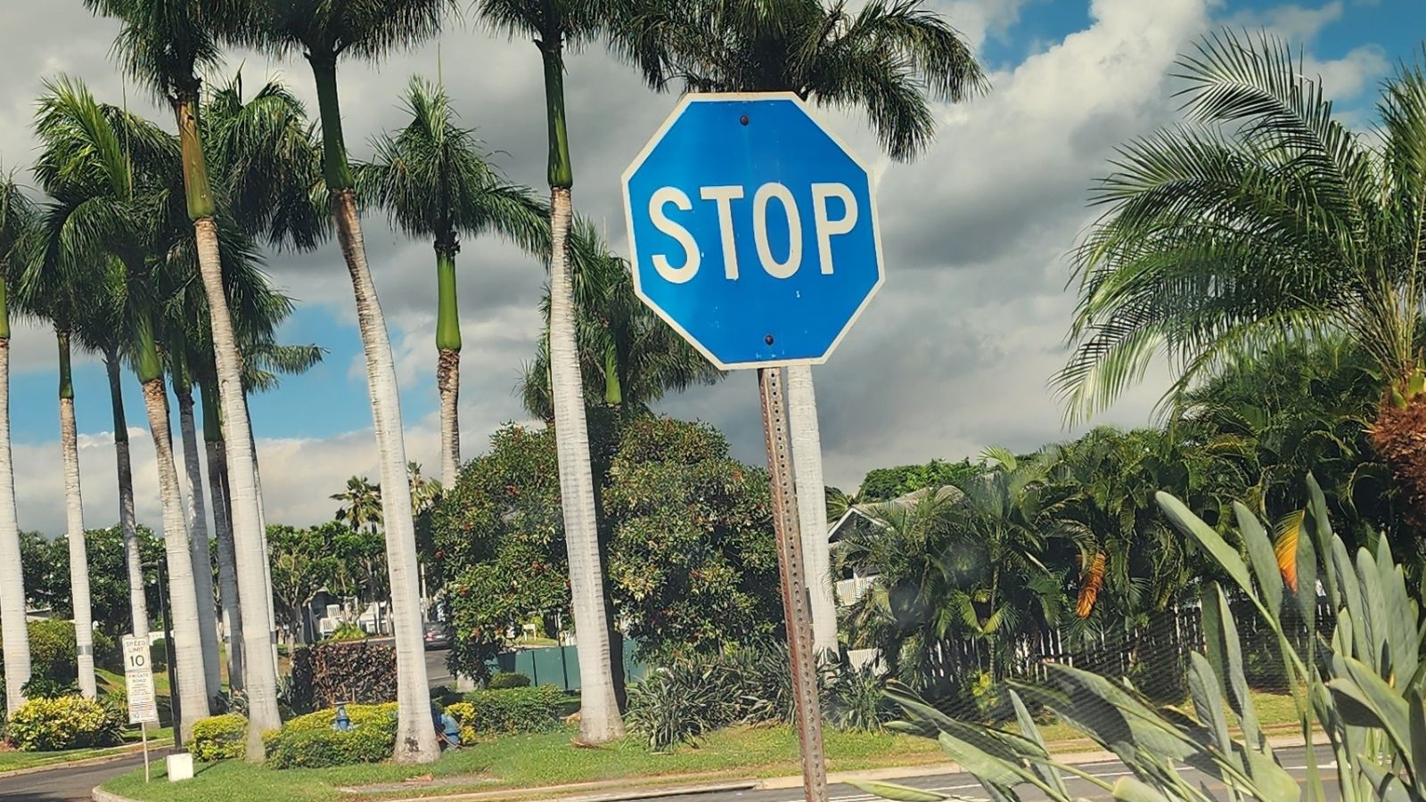 Blue Stop Signs Are Real — and They’re About to Confuse Canadian Drivers