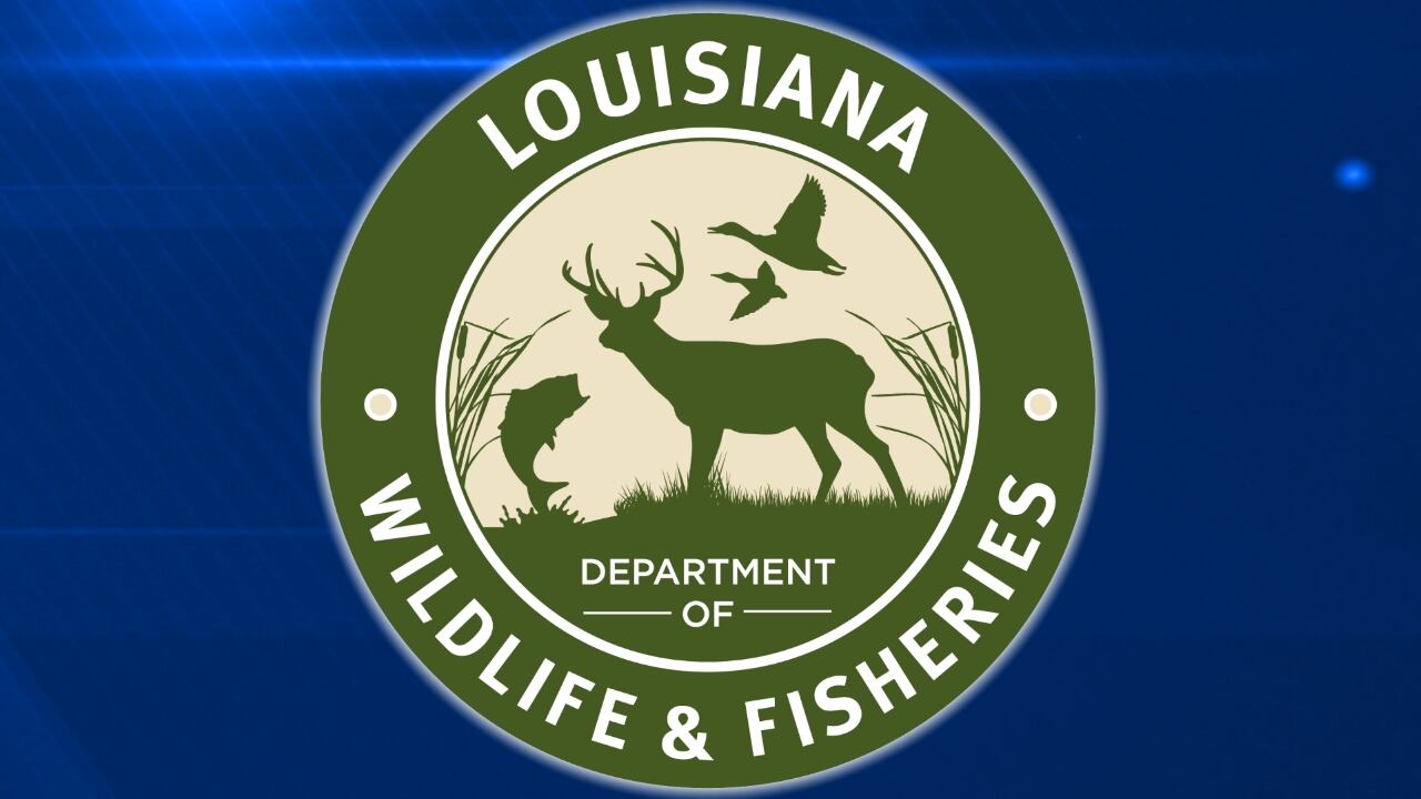 Parts of Fort Polk-Vernon WMA to be reopened for user activities, LDWF ...