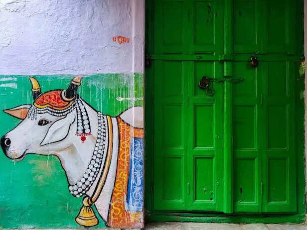 Were There Really 33 Crore Gods? The Truth Sanatan Dharma Actually Told