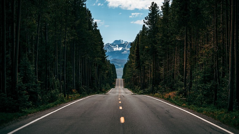 The Most Breathtaking Scenic Drives In National Parks, According To Experts