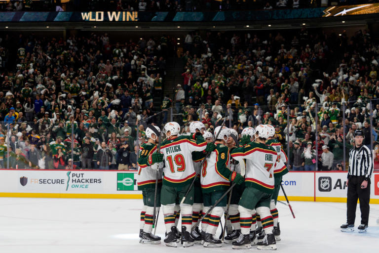 NHL Game Ends With Controversial Wild Goal