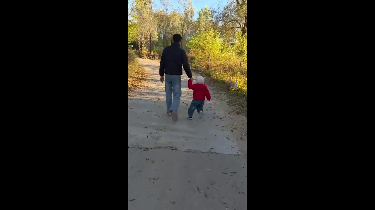 Dad's quick reflexes save toddler after young boy attempts to jump into ...