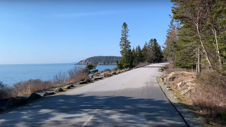 The Most Breathtaking Scenic Drives In National Parks, According To Experts