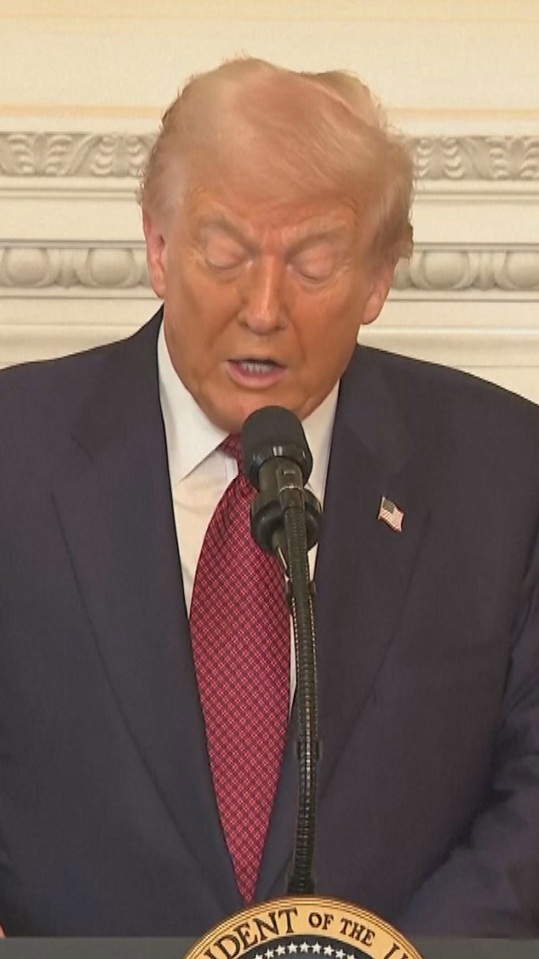 Trump compares Democrats to 'kamikaze pilots' that will take down the ...