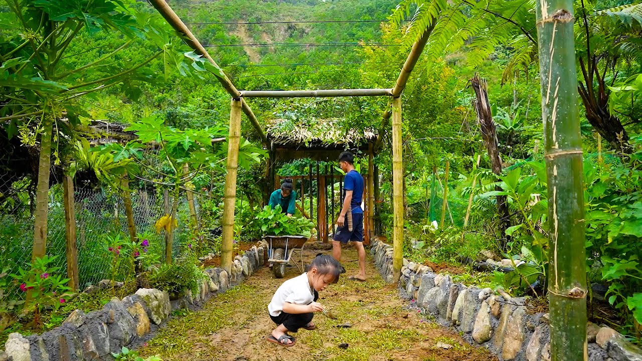 Renovasi kolam dan kebun dalam 150 hari!