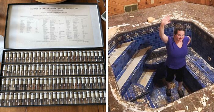 50 Interesting Photos Of The Unexpected Things People Have Discovered ...