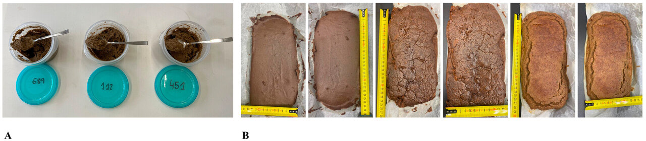 Insect protein added to pasteurized dairy products and brownies as part ...