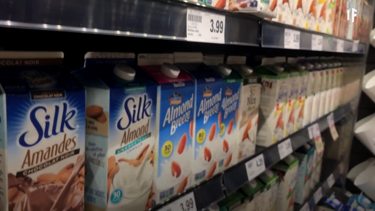 Was wäre, wenn alle Menschen auf der Welt vegan leben würden?