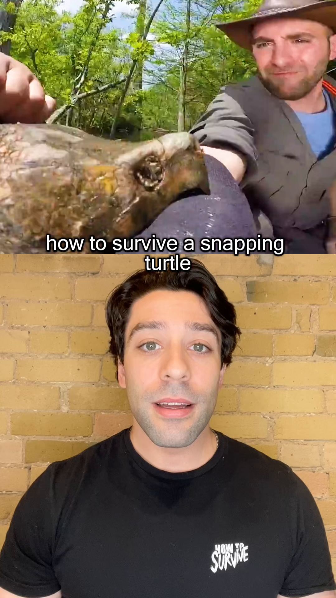 How to Survive a Snapping Turtle Bite #SnappingTurtle #Turtle
