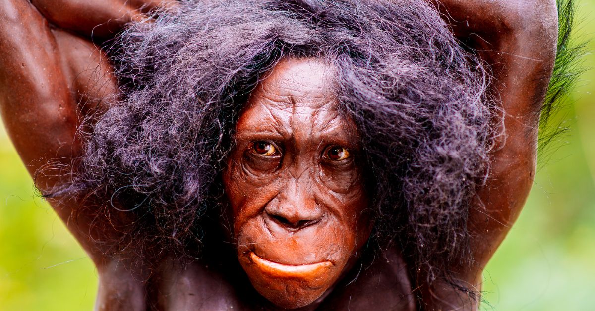 What A 4.4-Million-Year-Old Skeleton Revealed About Humanity