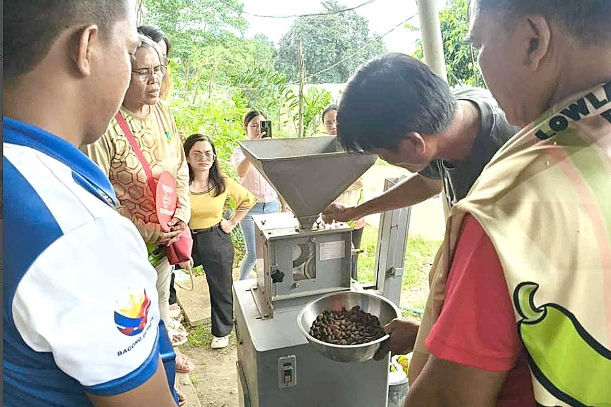 Amulung farmers level up with cacao processing training