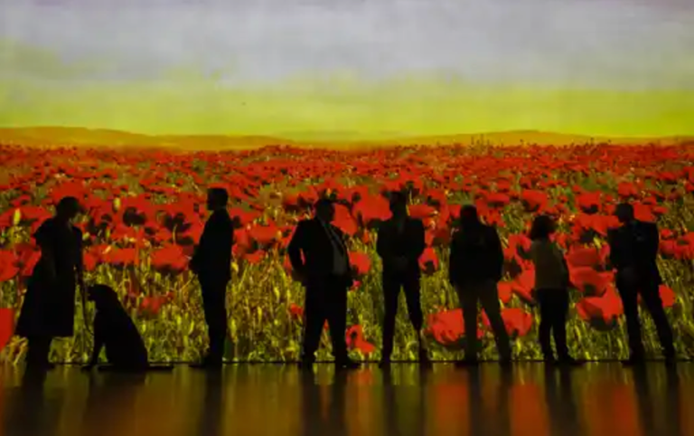 Remembrance Day 2025: 3 special places to see poppies in London this ...